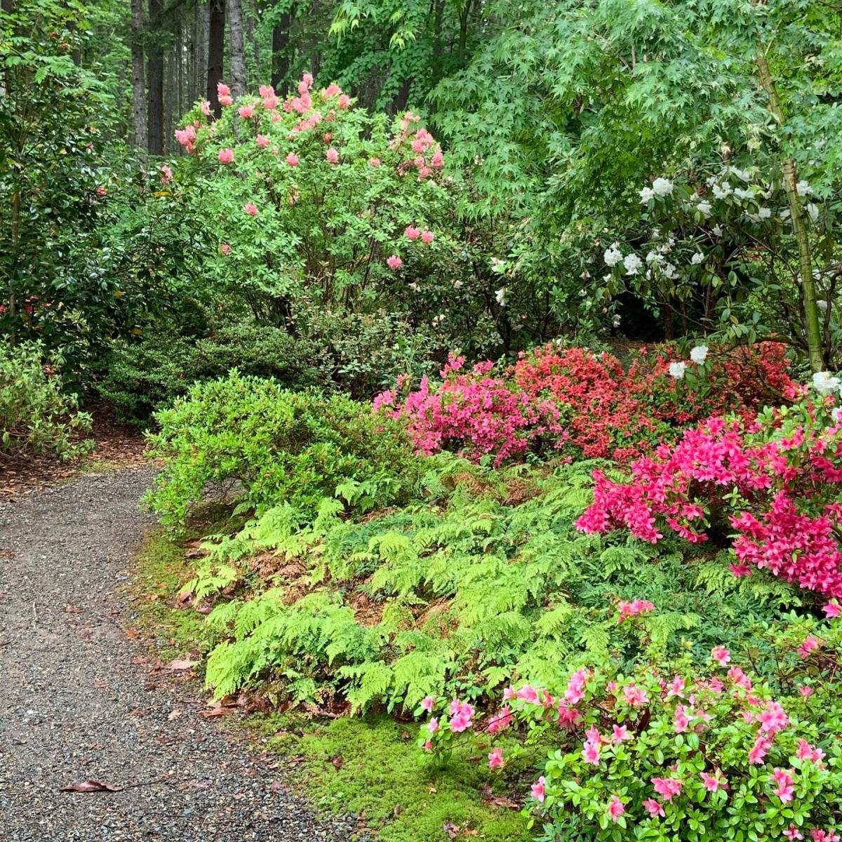 Lake Wilderness Arboretum Is A Magical Park In Washington