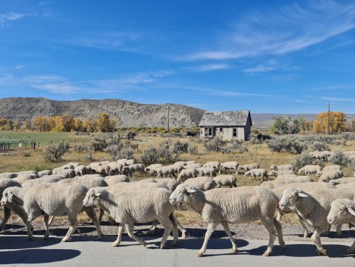 Historic Tri-State Boundary Marker In Wyoming Is Worth A Day Trip