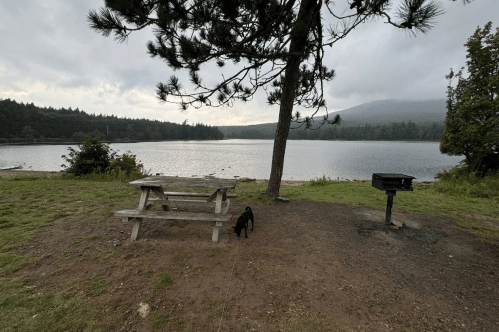 New York Route 5 Runs Through All Of New York And It's Beautiful