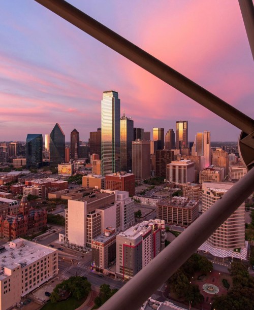 12 Unique Things To Do In Dallas-Fort Worth With Kids