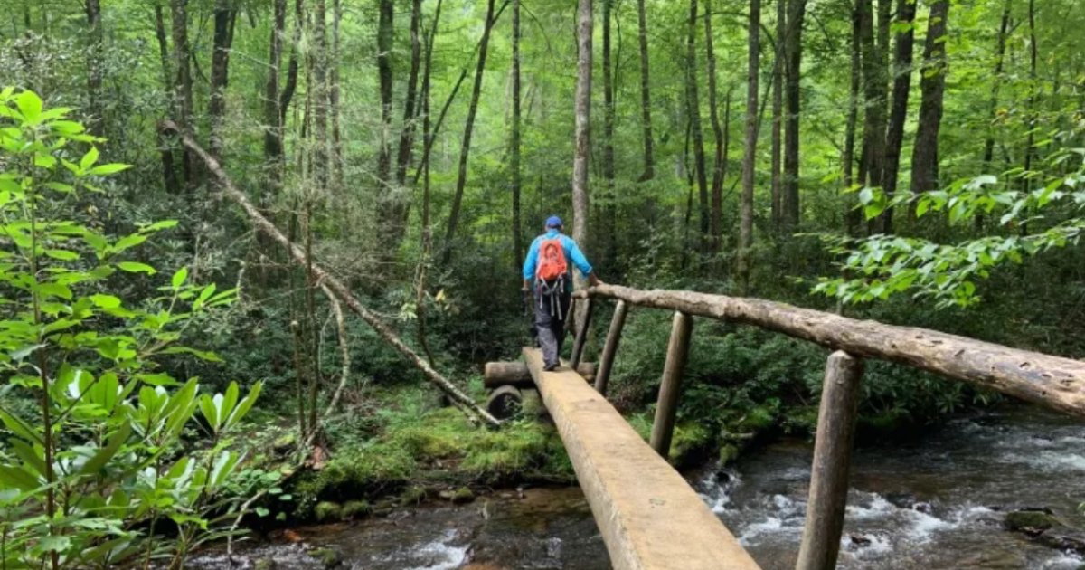The Boogerman Trail In North Carolina Has Magical Footbridges
