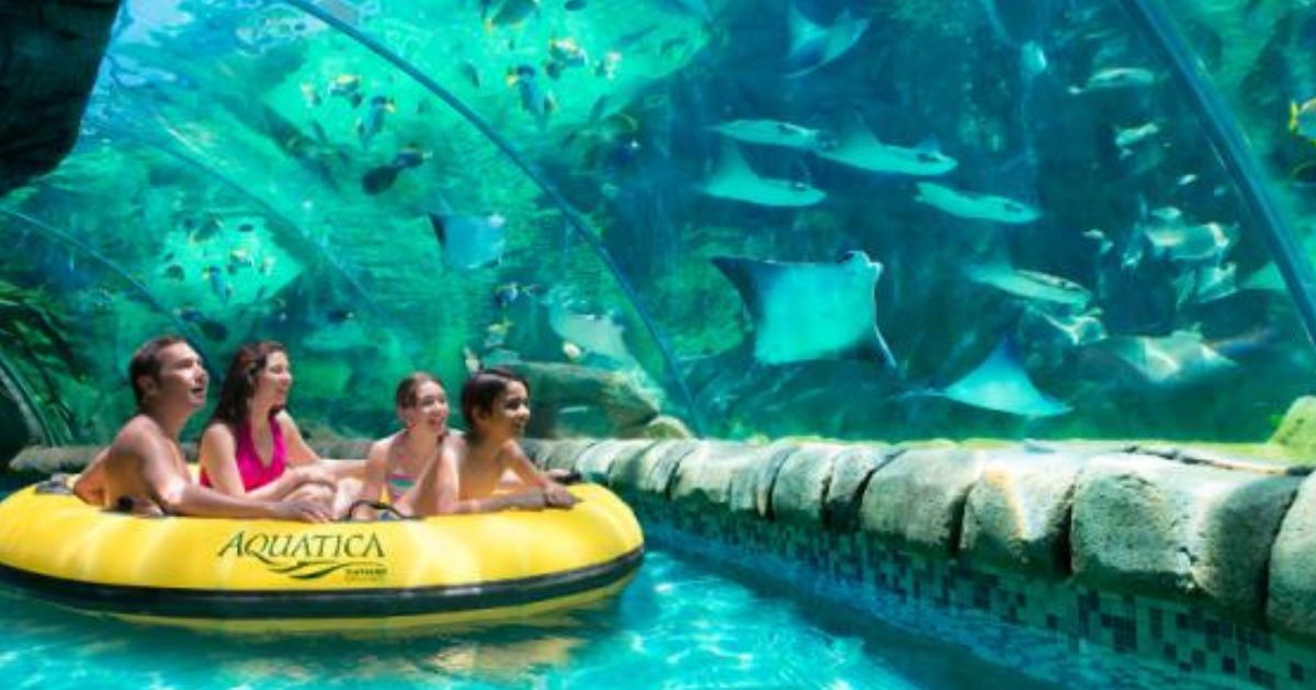 Best Aquarium Water Slide In Texas: Aquatica