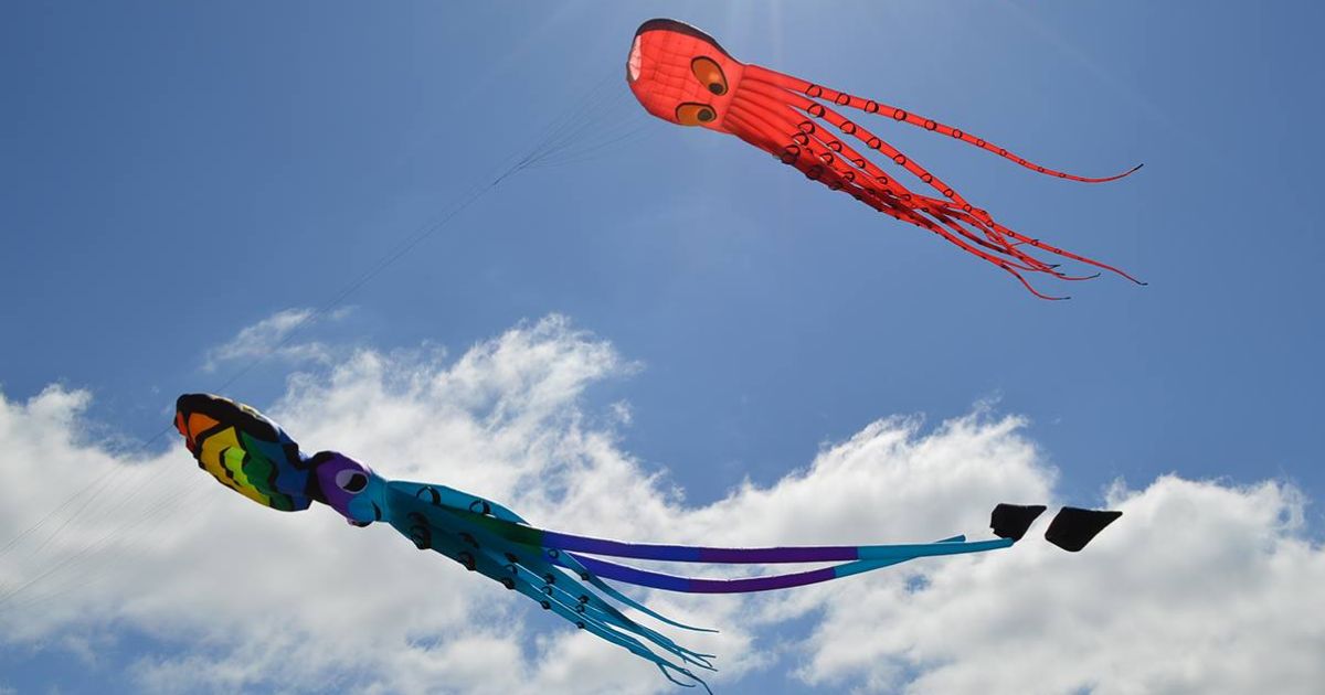 Spring Festivals In Louisiana: Kite Fest Louisiane