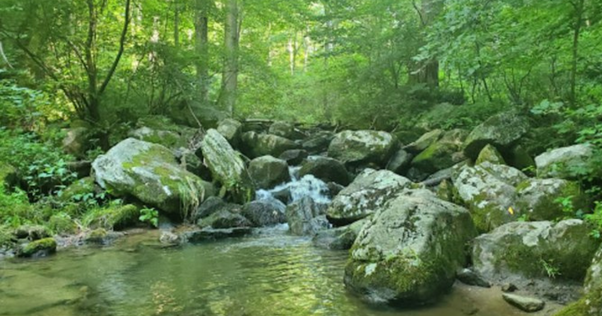 Nature Preserve: Magical Place In Robesonia, Pennsylvania