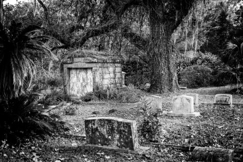 The Best Florida Urban Legends, Myths & Folklore