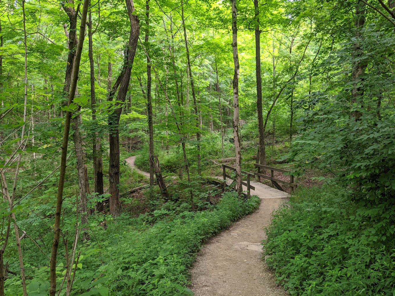 Hike Through A Hidden Forest Then Dine At A Small-Town Cafe On This ...