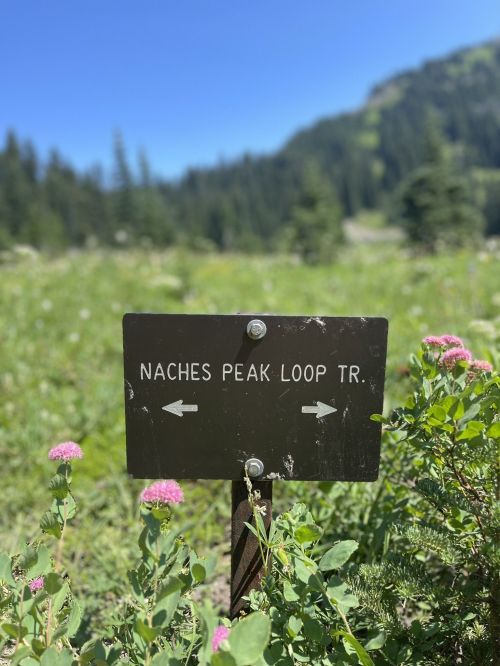Escape To Another World On This Easy Loop Trail In Washington