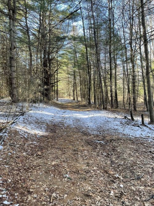 Things To Do In Morris, Connecticut: A Delightful Small Town