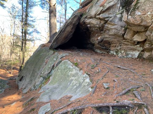 Mianus River Park: An Underrated Park In Stamford, CT