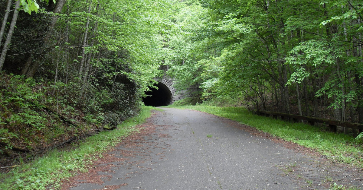 This Scenic Drive Runs Straight Through North Carolina’s Great Smoky ...