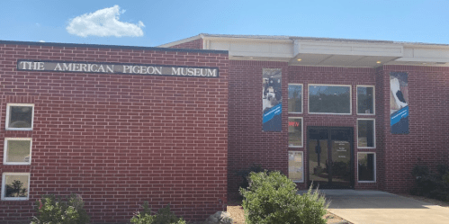 Quirky Places To Visit In Oklahoma City: American Pigeon Museum