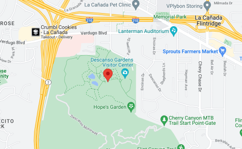 See Tulips In Southern California At Descanso Gardens