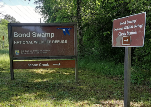 Macon's Bond Swamp Is Like A Mini Everglades In Georgia