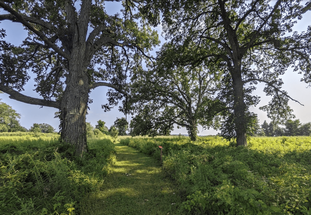 This State Nature Preserve Hides A Native Prairie Near Cleveland