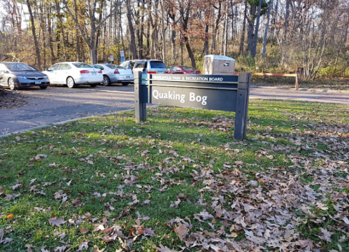 Minneapolis‘ Quaking Bog Is A Surprise Urban Minnesota Bog
