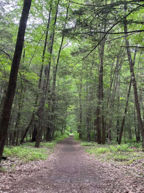 Where To Go In Connecticut For A Day Trip