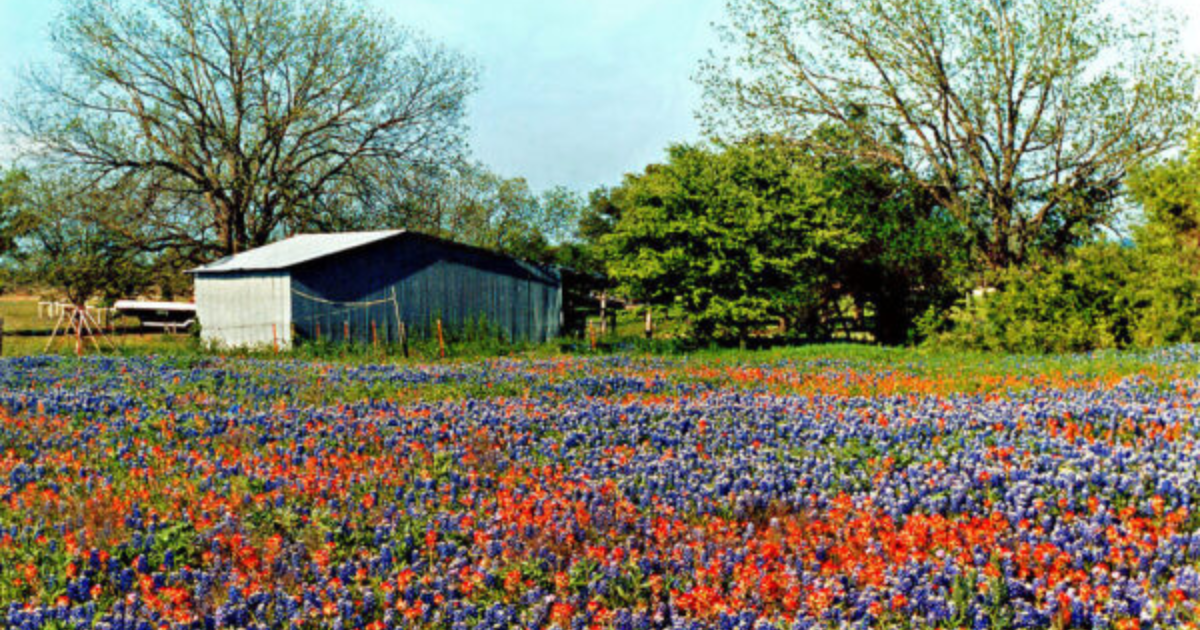 15 Small Towns Around Dallas That Are So Charming