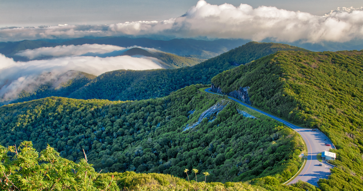 The 16 Best Scenic Road Trips in America