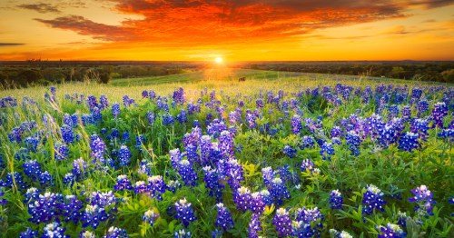 11 Best Road Trips in Texas for Scenic Adventures