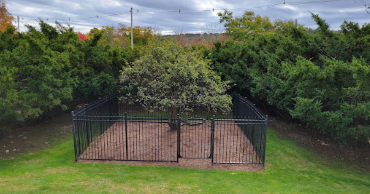 A Bit Of An Unexpected Natural Wonder, Few People Know The Oldest ...