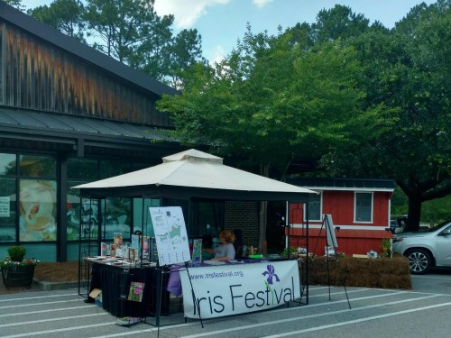 The Sumter Iris Festival: One Of The Best Events In South Carolina
