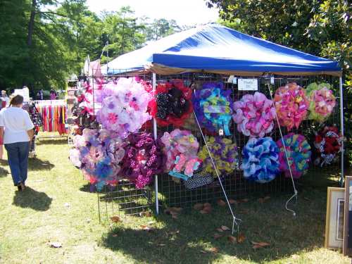 The Sumter Iris Festival: One Of The Best Events In South Carolina