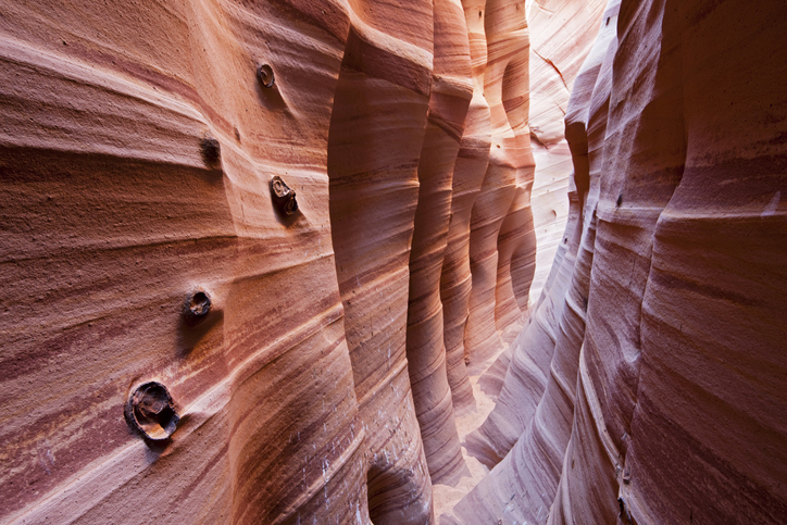 Zebra Slot Canyon In Utah: Hike In Southern Utah