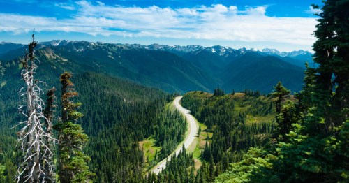 The 16 Best Scenic Road Trips in America