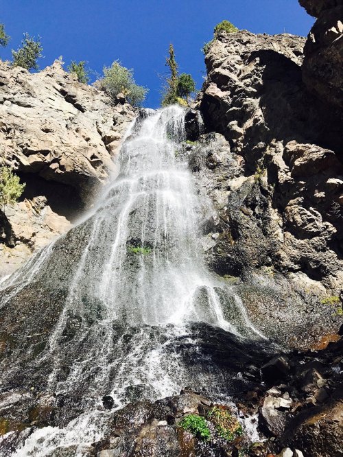Waterfall Hikes Near Pagosa Springs, Colorado: Silver Falls Trail