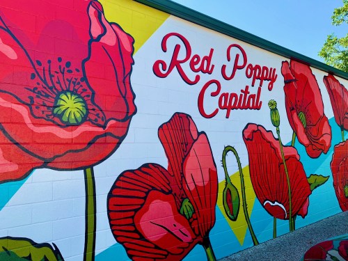 Colorful Spring Festival In Texas: Georgetown Red Poppy Festival