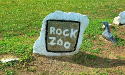 Rock Zoo: Quirkiest Place In Alabama