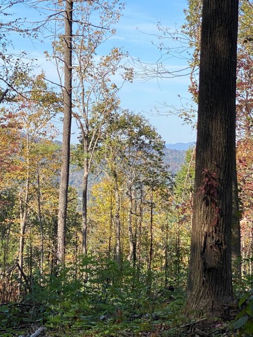 The Extraordinary Saluda Mountains Straddle The Carolinas