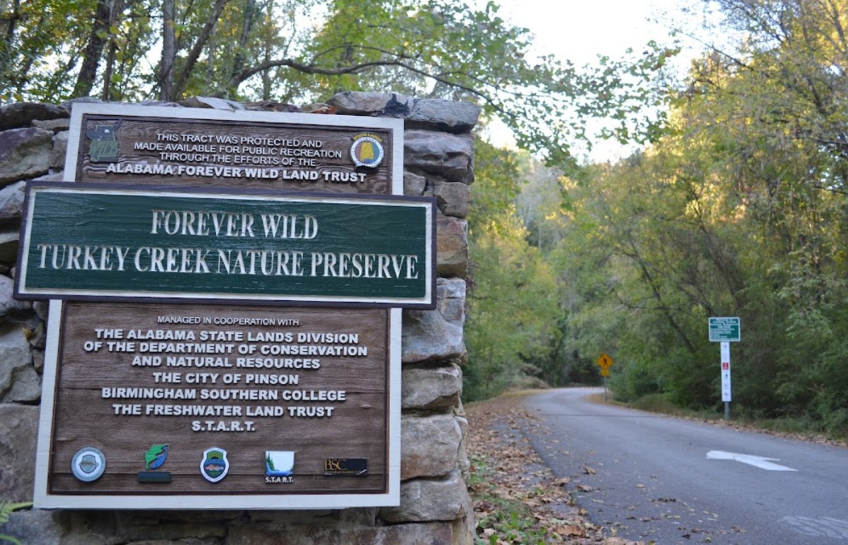 Turkey Creek Nature Preserve: Most Magical Place In Alabama