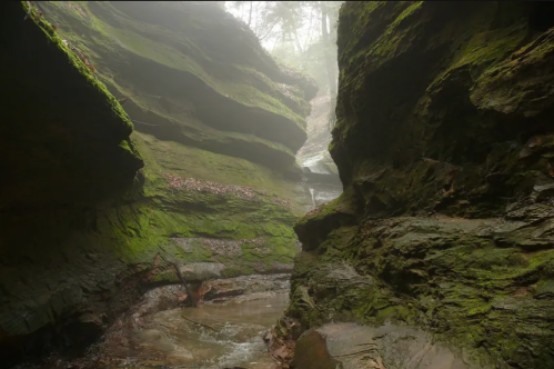 Stables Steakhouse: Stable-Turned-Restaurant In Terre Haute, IN