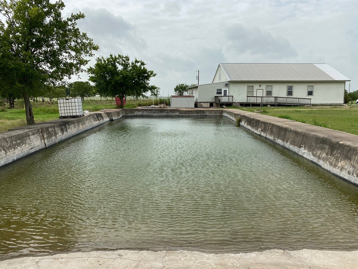 Visit The Branch Davidian Cult Compound In Waco, Texas