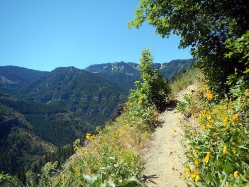 Wind Caves In Logan Canyon: Hike To This Unique Cave In Utah