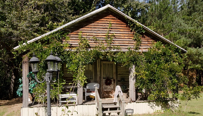 Tucked Away in The Small Town Of Blackville, South Carolina, Wisteria ...