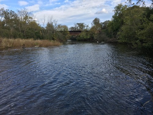 The Mukwonago River Is A Beautiful Wisconsin River