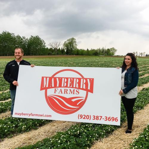 Mayberry Farms Is A Wisconsin Strawberry Farm In Mayville