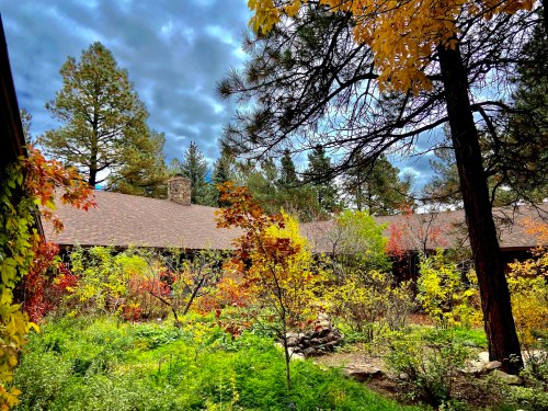 The Arboretum At Flagstaff In Arizona Has Hundreds Of Plants