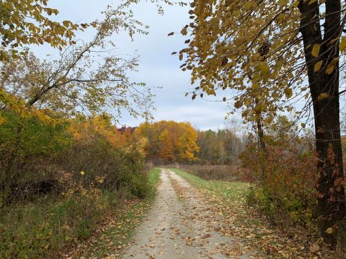 Ixonia Is A One-Of-A-Kind Wisconsin Town