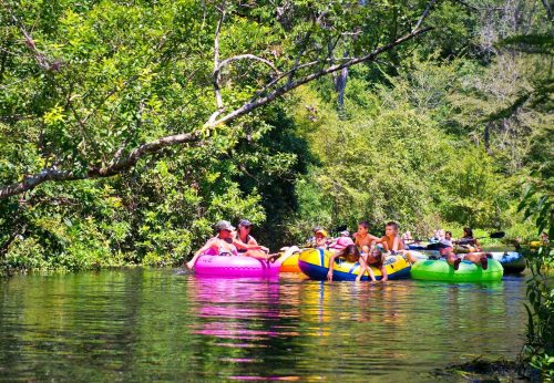 10 Things To Do In Florida In June: Top Events & Attractions