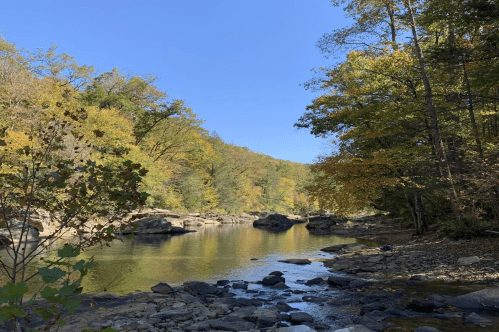 A Walkable Town Of Shops & Restaurants: Thomas, West Virginia