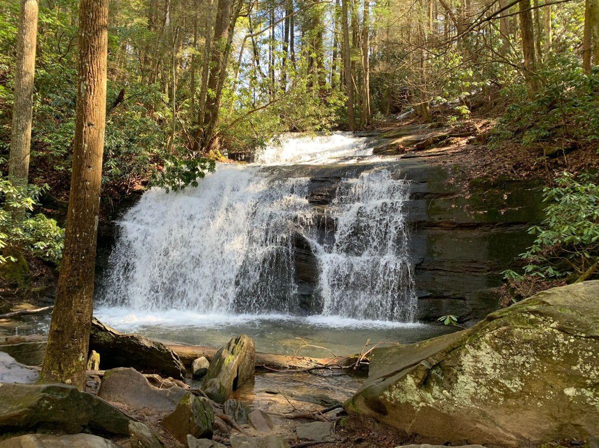 Day Trip To Suches, GA: Fun Attractions And Things To Do