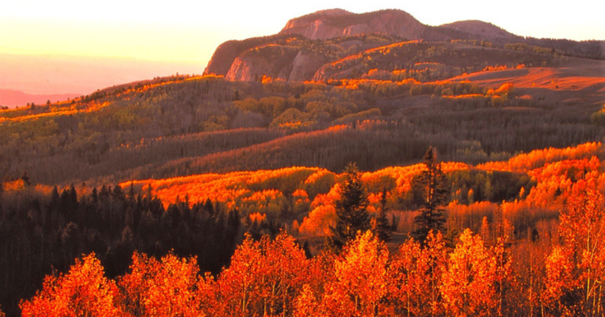 Brazos Cliffs Is A Magical Place In New Mexico That You Thought Only ...