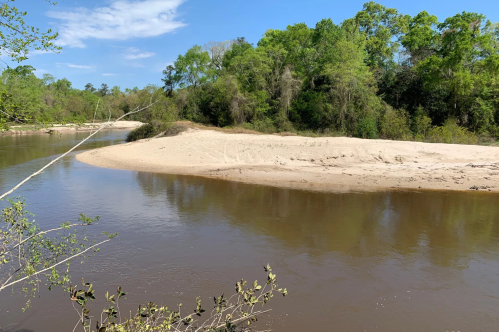 Seminary, Mississippi's Name Origin Is Fascinating