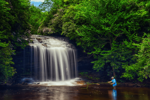 Visit The Enchanting Town In North Carolina Of Angier