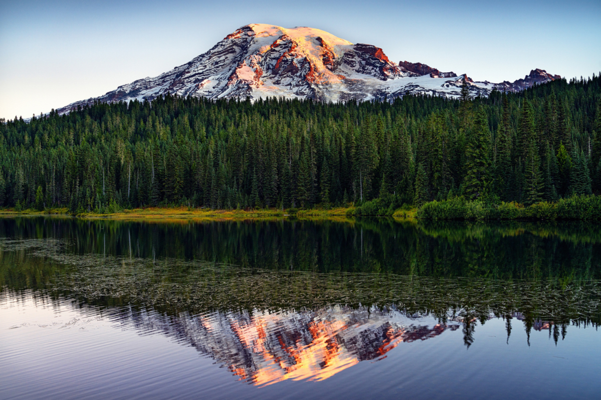 The Ultimate Guide to Mount Rainier National Park Scenic Loop Drive