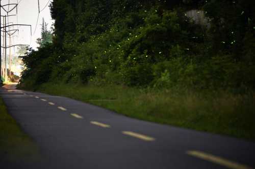 Best Places To See Enchanting Fireflies In Indiana This Summer