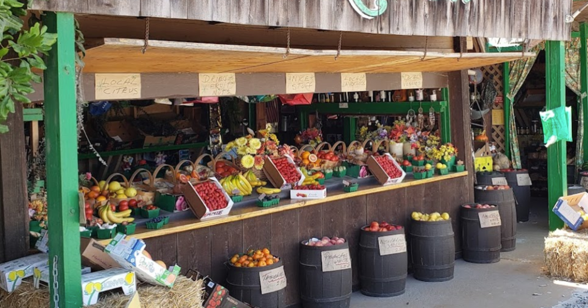 A Day Trip To Somis, California, Is Like A Day In The Country